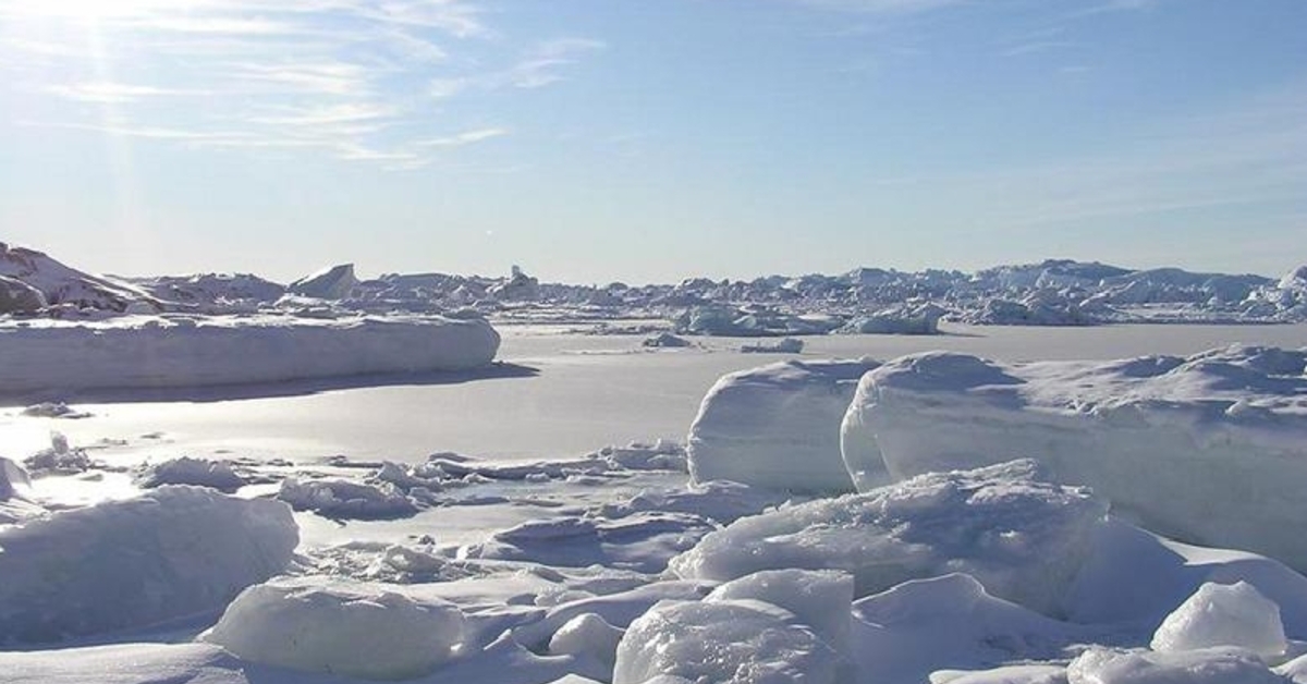 Des Kebabs sur la banquise